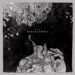 SMALL STONE RECORDS | The Finest in FUZZ since 1995
